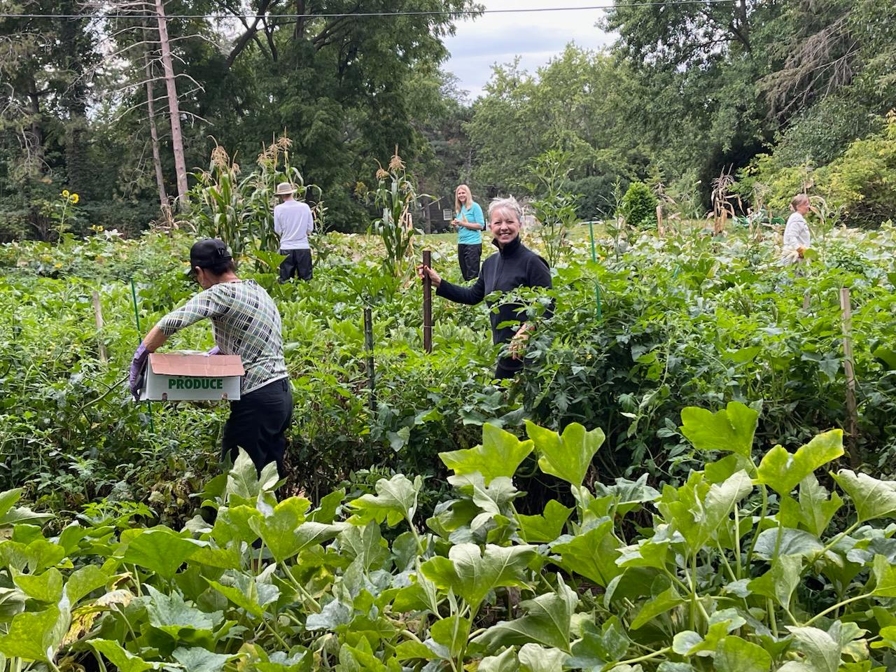 Cultivating Community Through Gardening - Neighborhood House